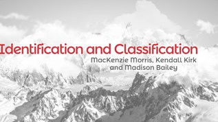 Identification and Classification at emaze Presentation