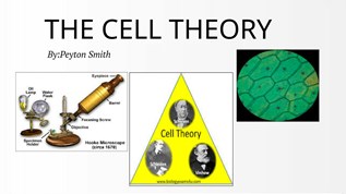 The cell at emaze Presentation