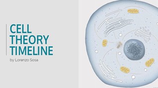Cell Theory Timeline at emaze Presentation