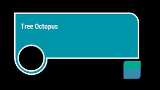 Tree Octopus at emaze Presentation