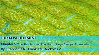 SPONCH Element at emaze Presentation