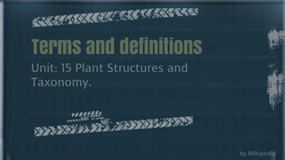 Presentation Name at emaze Presentation