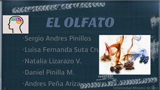 El olfato at emaze Presentation