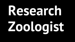Research Zoologist at emaze Presentation