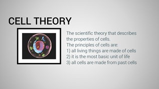 Cell Theory at emaze Presentation