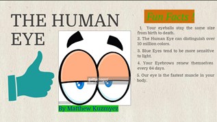 The Human Eye! at emaze Presentation