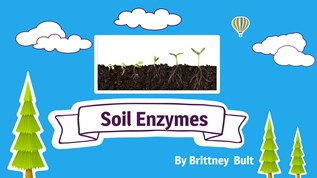 Soil Enzymes at emaze Presentation
