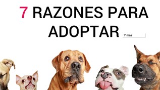 7 razones para adoptar at emaze Presentation