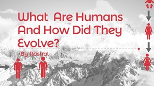What Are Humans And How did They EVOLVE at emaze Presentation