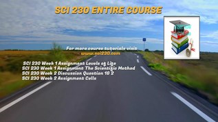 SCI 230 UOP professional tutor sci230dotcom at emaze Presentation