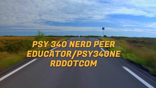 psy 340 nerd Peer Educatorpsy340nerddotcom at emaze Presentation