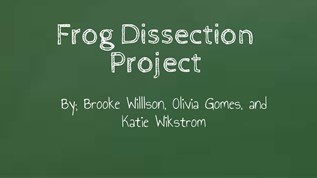 Frog Dissection Project REAL at emaze Presentation