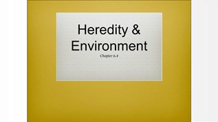 Chapter 6 Section 4 at emaze Presentation