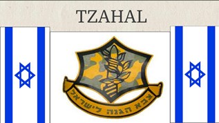 tzahal at emaze Presentation