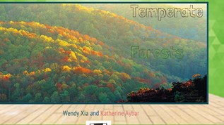 Temperate Deciduous FOREST!! at emaze Presentation