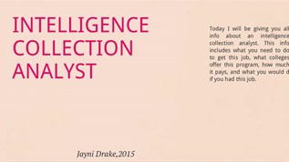 Collection Analyst at emaze Presentation
