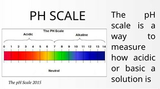 ph ScaleThe pH scale at emaze Presentation