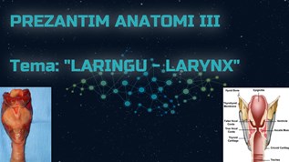 Presentation Name copy1 at emaze Presentation