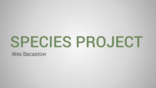 Species Project at emaze Presentation