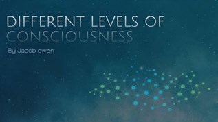 different levels of at emaze Presentation