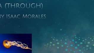 dia (through) copy1 at emaze Presentation