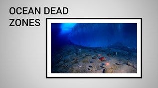 Ocean dead zones at emaze Presentation
