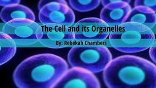 The Cell and its Organelles copy1 at emaze Presentation