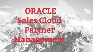 Oracle Partner Manager copy1 at emaze Presentation