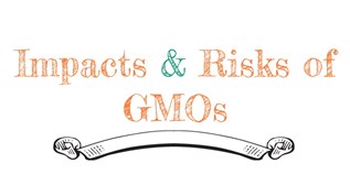 GMOs at emaze Presentation