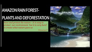 AMAZON RAIN FOREST at emaze Presentation