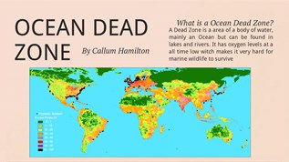 Ocean dead Zone at emaze Presentation
