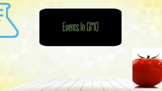 Events In GMO at emaze Presentation