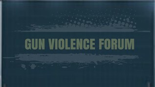 GUN VIOLENCE at emaze Presentation