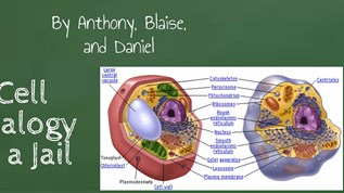 Cell Analogy at emaze Presentation
