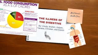 Digestive System at emaze Presentation