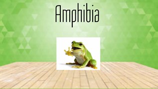 Amphibia (Bio Presentation) at emaze Presentation