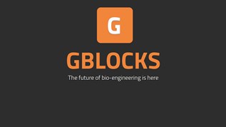 GBLOCKS at emaze Presentation