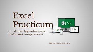 Excel Practicum at emaze Presentation