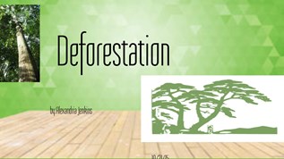 Rain Forest Deforestation at emaze Presentation