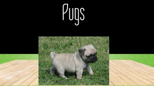 PUGS at emaze Presentation
