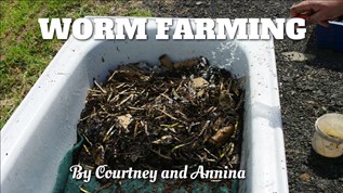 Worm Farming at emaze Presentation