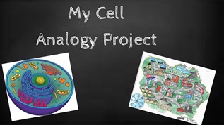 My Cell Analogy Project at emaze Presentation