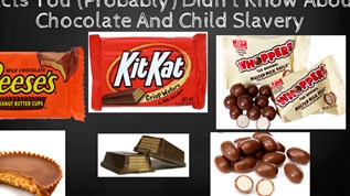choc and child slavery at emaze Presentation