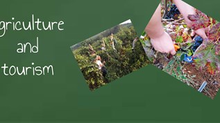 Presentation Name at emaze Presentation