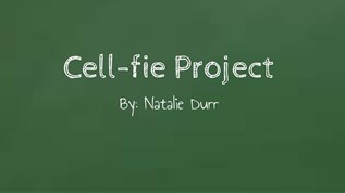 Presentation Name at emaze Presentation