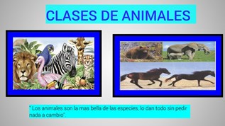 CLASES DE ANIMALES at emaze Presentation