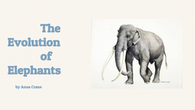 Evolution of Elephants at emaze Presentation