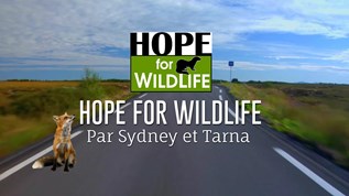 Hope For Wildlife at emaze Presentation