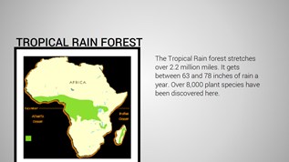 African rainforest at emaze Presentation