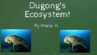 Dugong's Ecosystem! at emaze Presentation